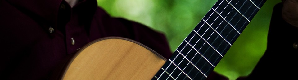 Benjamin Altman | guitarist